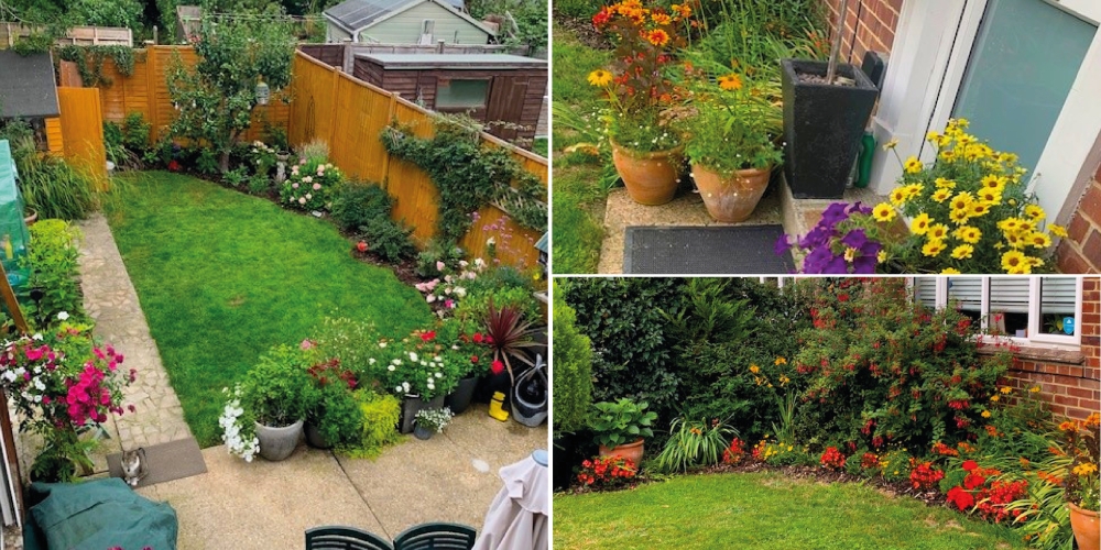 Sprouting success in our garden competition | Saxon Weald